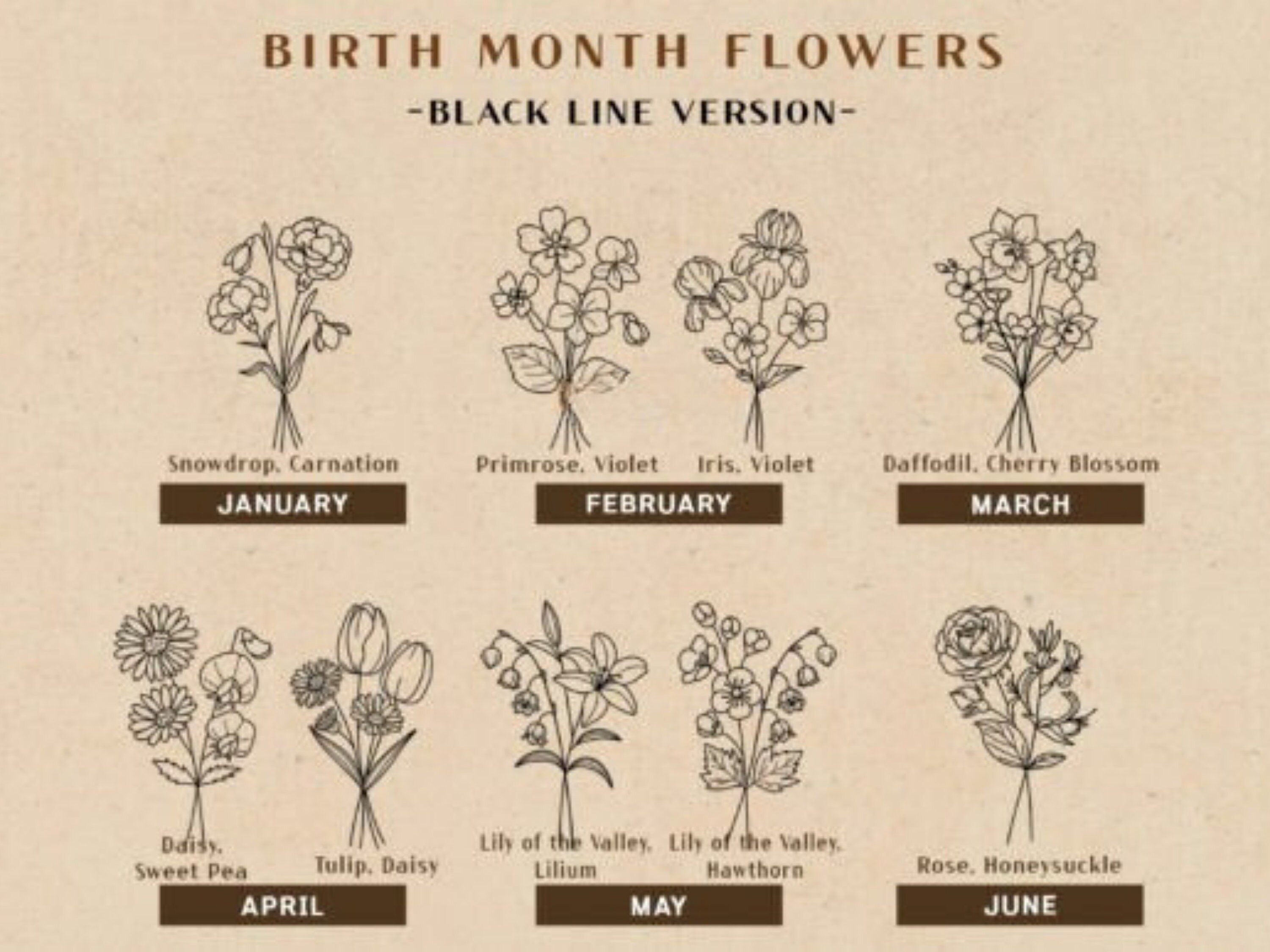 Birth Flower Bouquet Download Month Flower Download Editable Birth ...