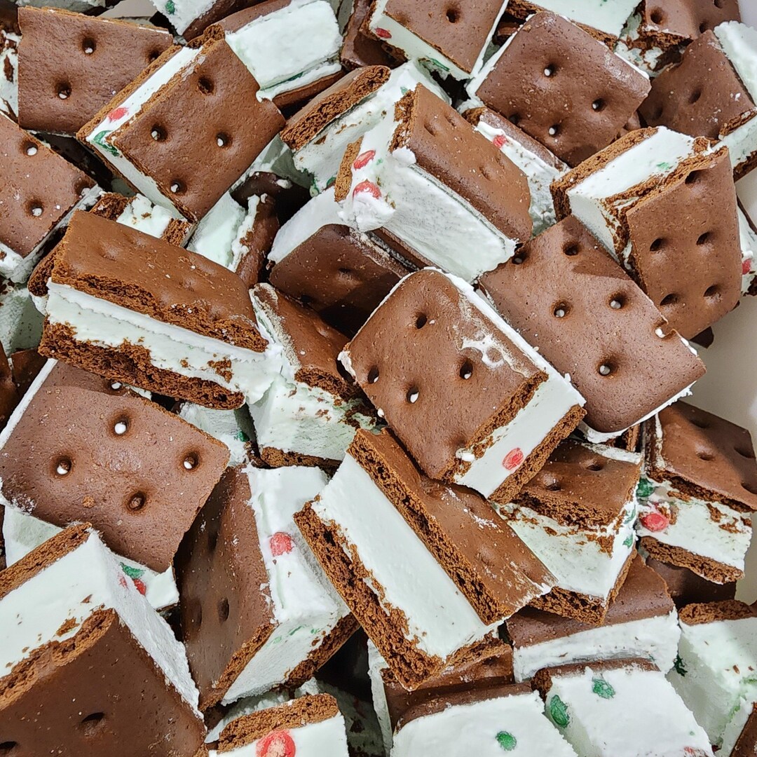 Peppermint Ice Cream Sandwich Squares Freeze Dried - Etsy