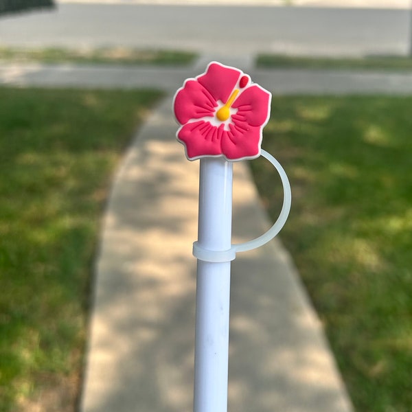 Straw Flowers - Etsy