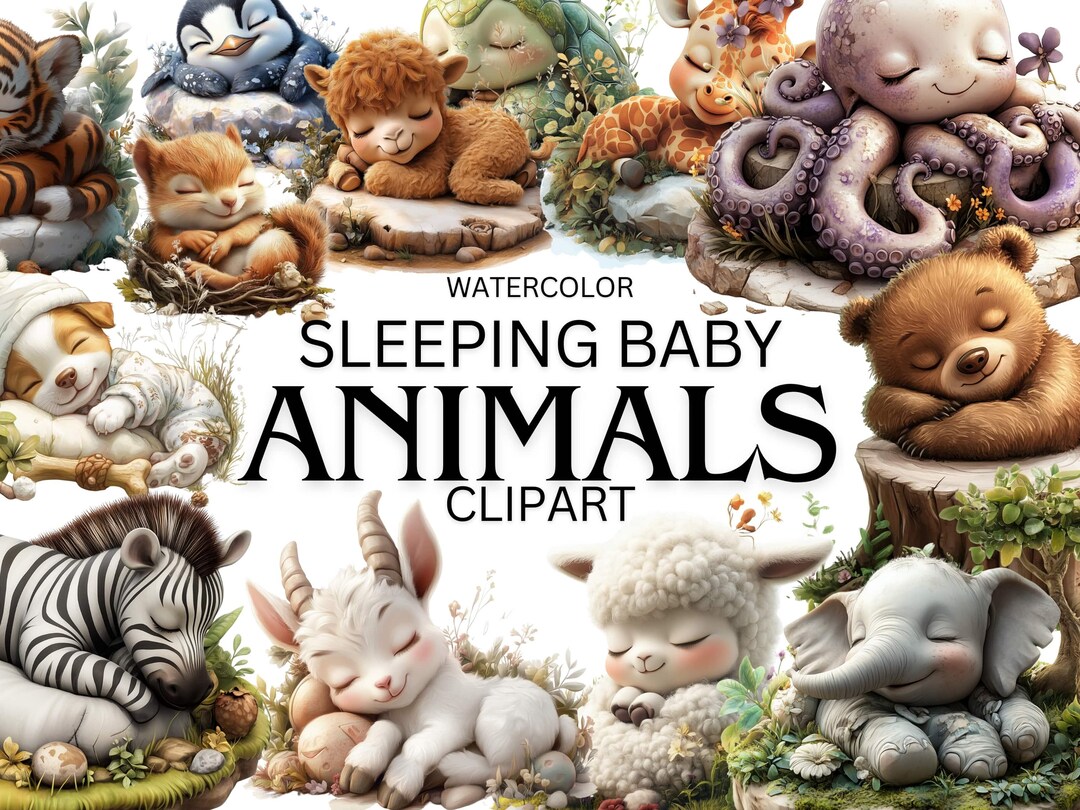 35 Watercolor Sleeping Cute Baby Animals Clipart Pack, Animals Pack ...