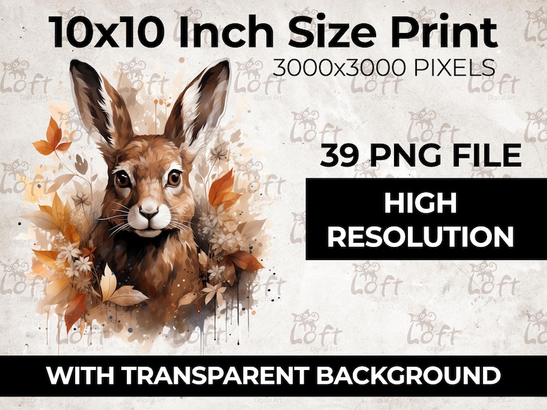 39 Forest Animals, Watercolor Forest Animals PNG, Forest Living Animals ...