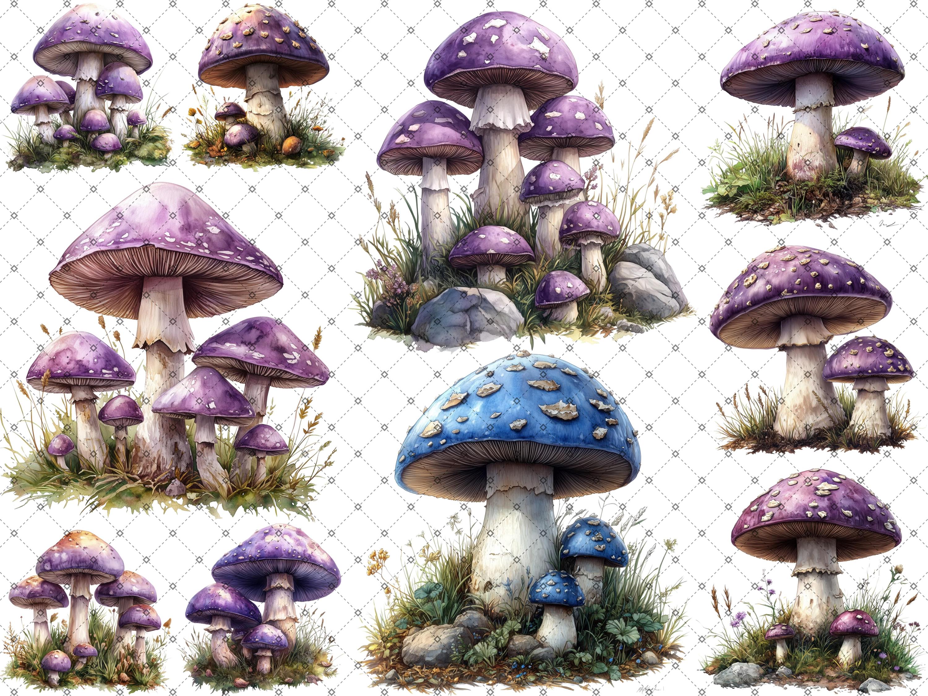 Blue Purple Mushroom Watercolor Clipart, Mushroom Forest Art, Fantasy ...