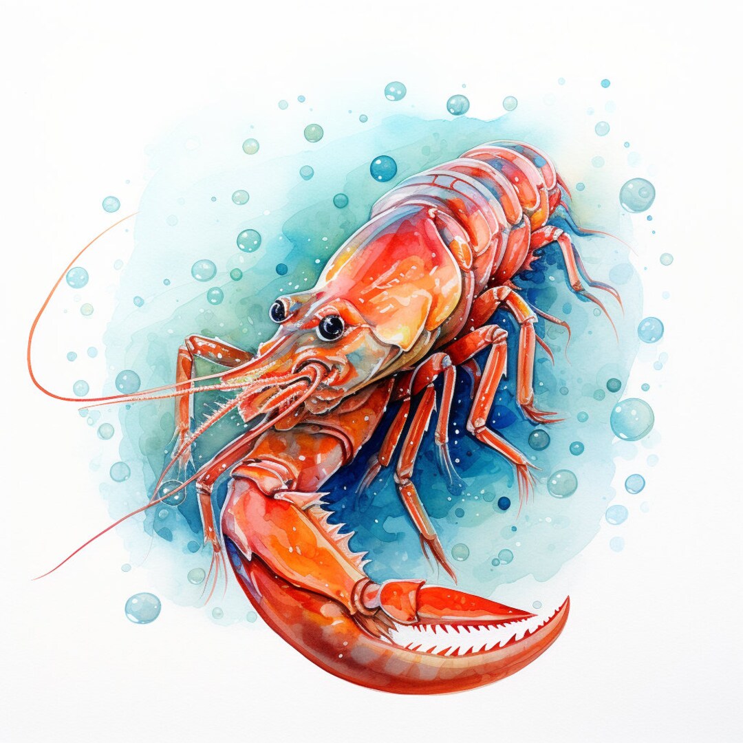 Watercolor Prawn Designs Png File For-sublimation-t Shirt-canvas-mug ...