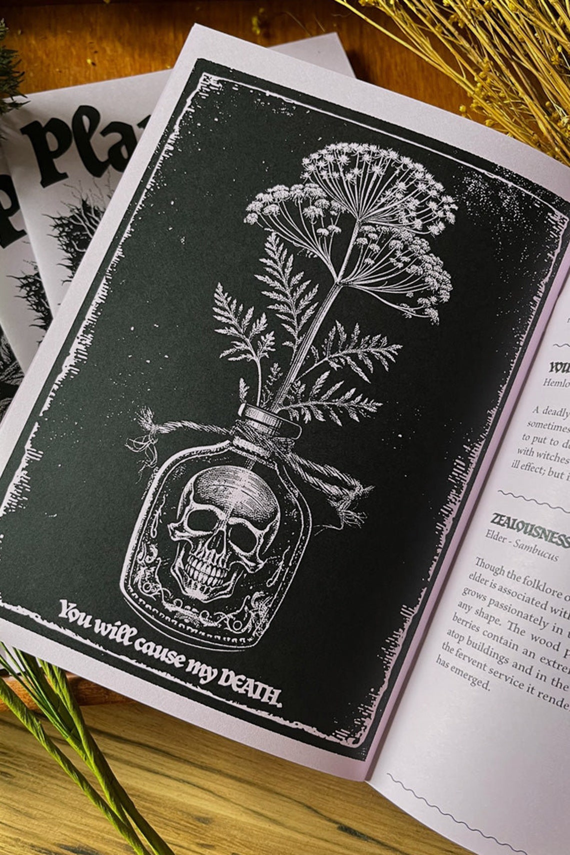 Plantlore the Old Fashioned Symbolism of Plants Zine - Etsy