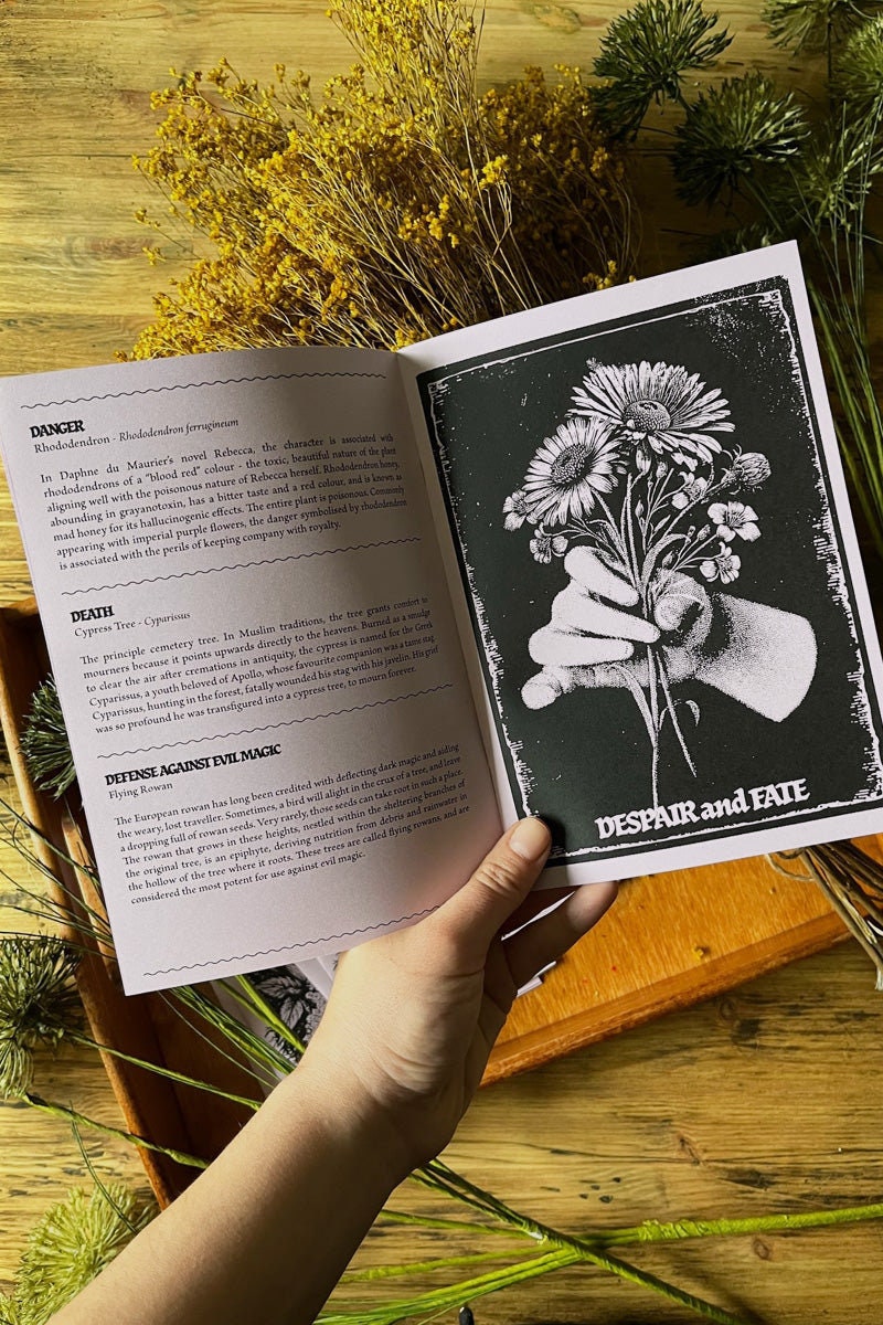 Plantlore the Old Fashioned Symbolism of Plants Zine - Etsy