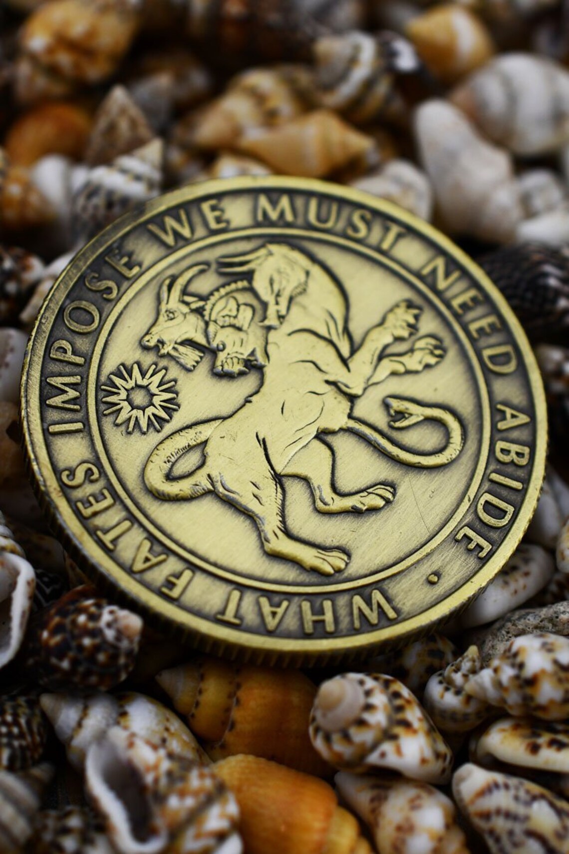 Coin of Fate - Dnd / RPG 5e DM Roleplay Coin for Tabletop / LARP - Etsy