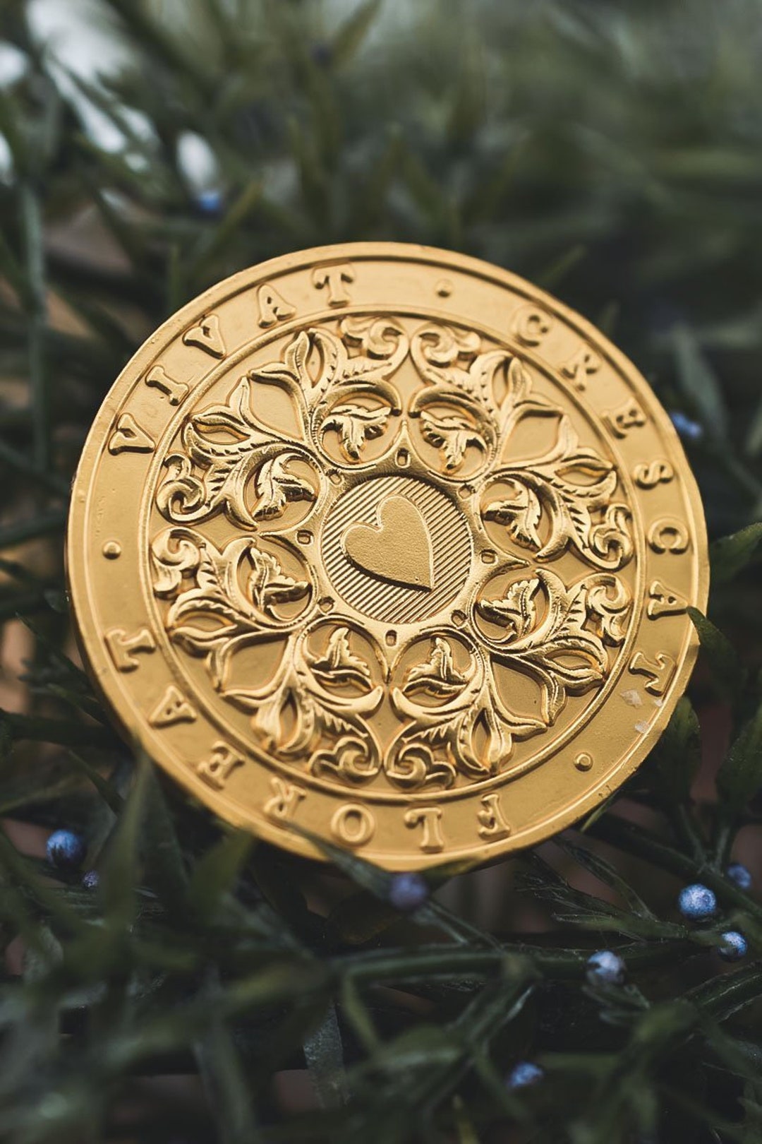 Coin of Vitality - Dnd / RPG 5e DM Roleplay Coin for Tabletop / LARP - Etsy