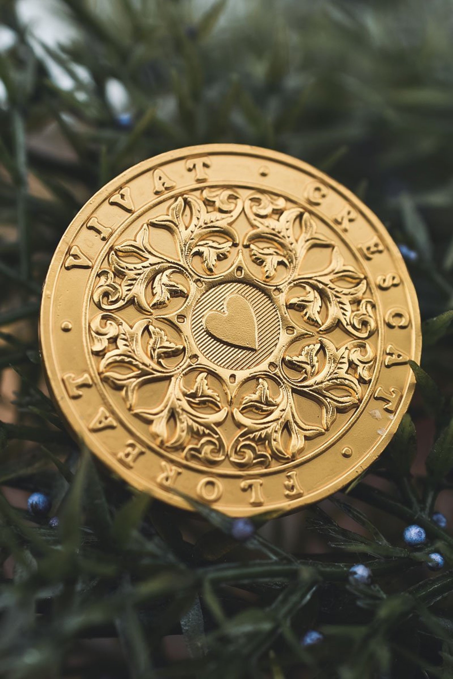 Coin of Vitality - Dnd / RPG 5e DM Roleplay Coin for Tabletop / LARP - Etsy