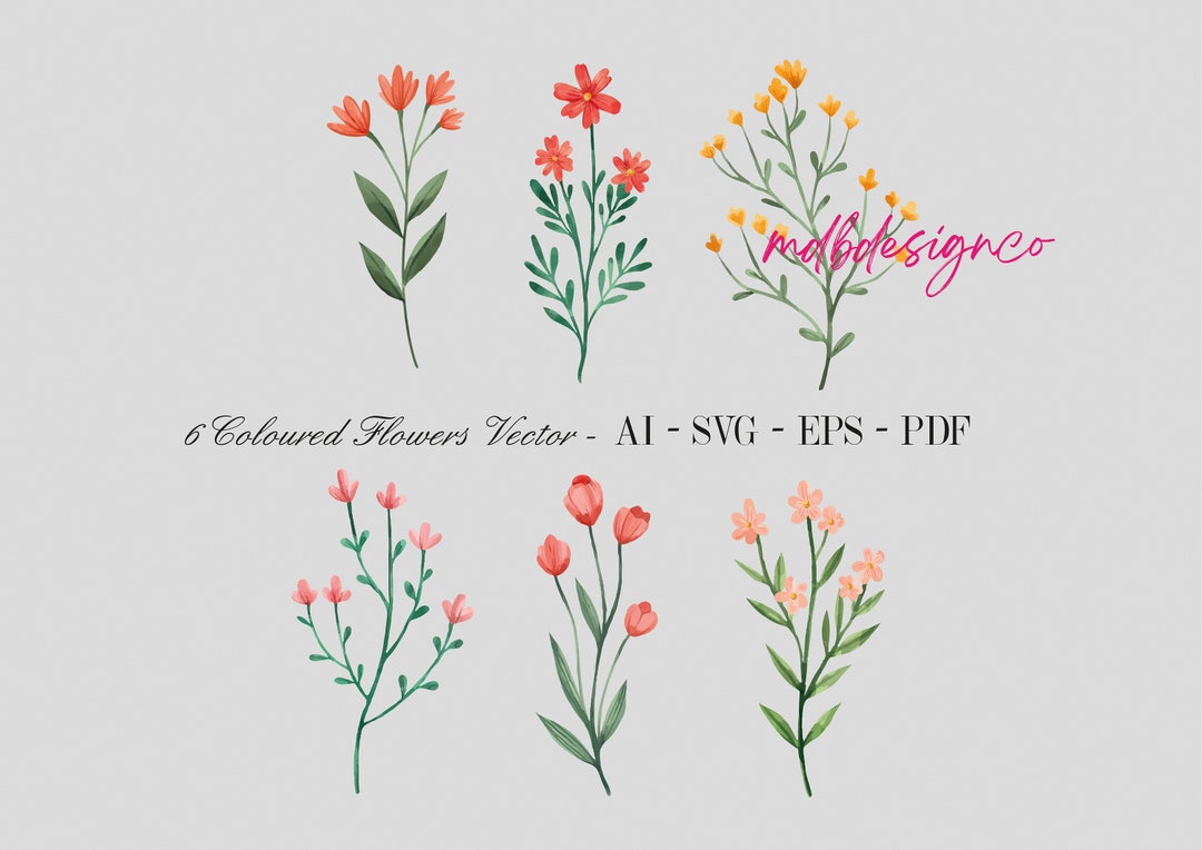 6 Minimal Coloured Flowers Design AI SVG EPS Pdf Vector Digital ...
