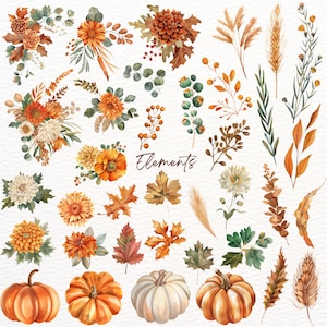 Pumpkins and Flowers,autumn Florals Clipart,pumpkin Clipart,fall Floral ...