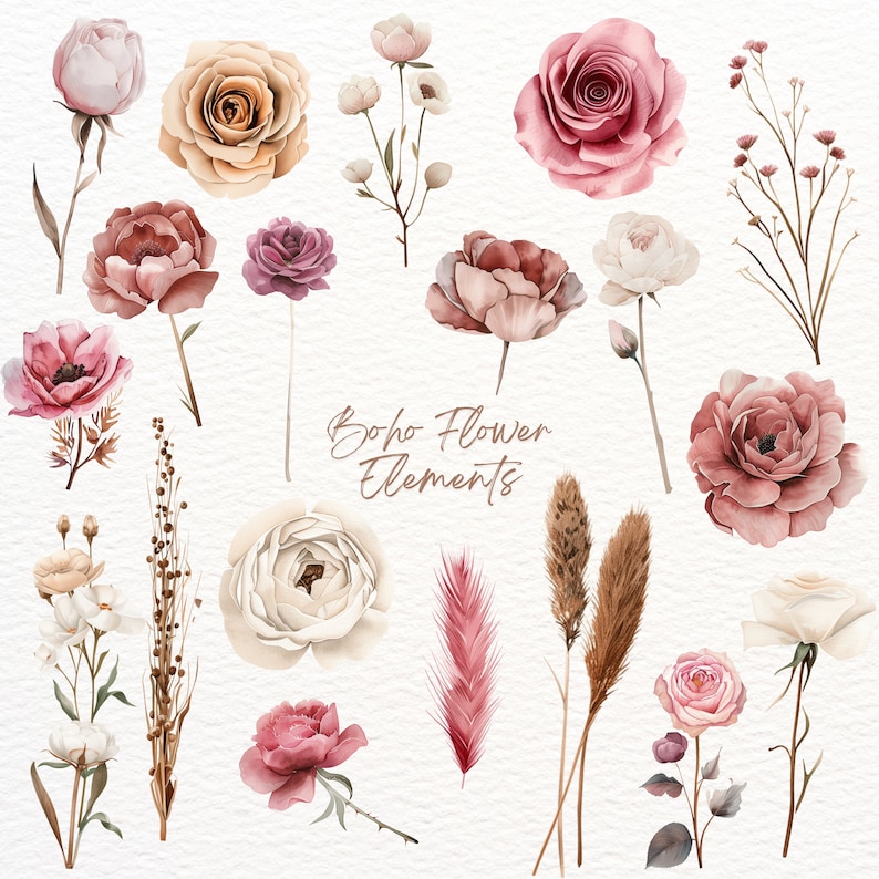Watercolor Boho Flower,dried Plants Clipart,wild Floral Clipart,wedding ...