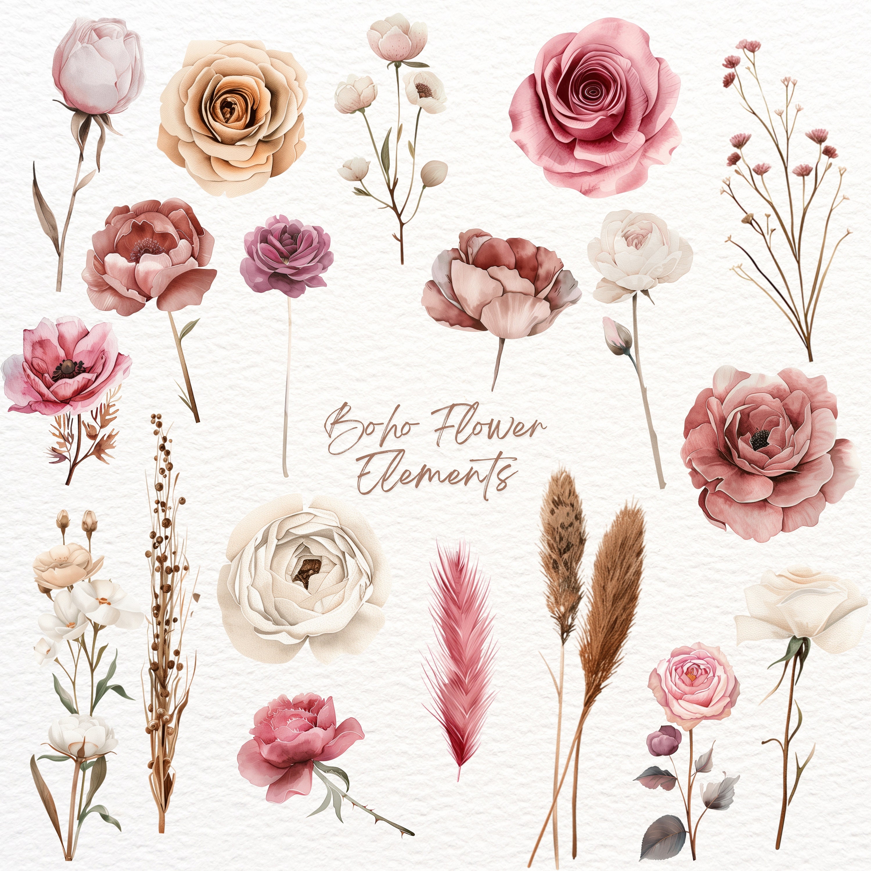 Watercolor Boho Flower,dried Plants Clipart,wild Floral Clipart,wedding ...