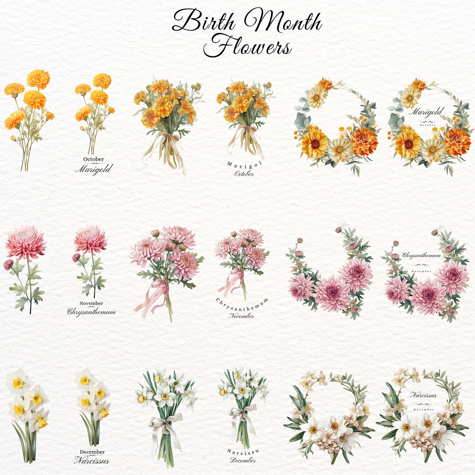 Watercolor Birth Month Flower Clipart,birth Flower Png,watercolor ...