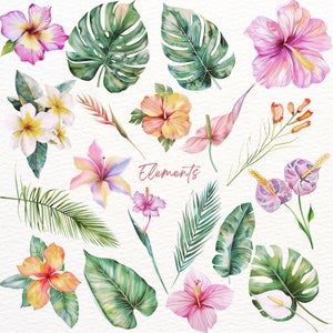 Watercolor Tropical Flowers and Leaves Clipart,tropical Flower Clipart ...