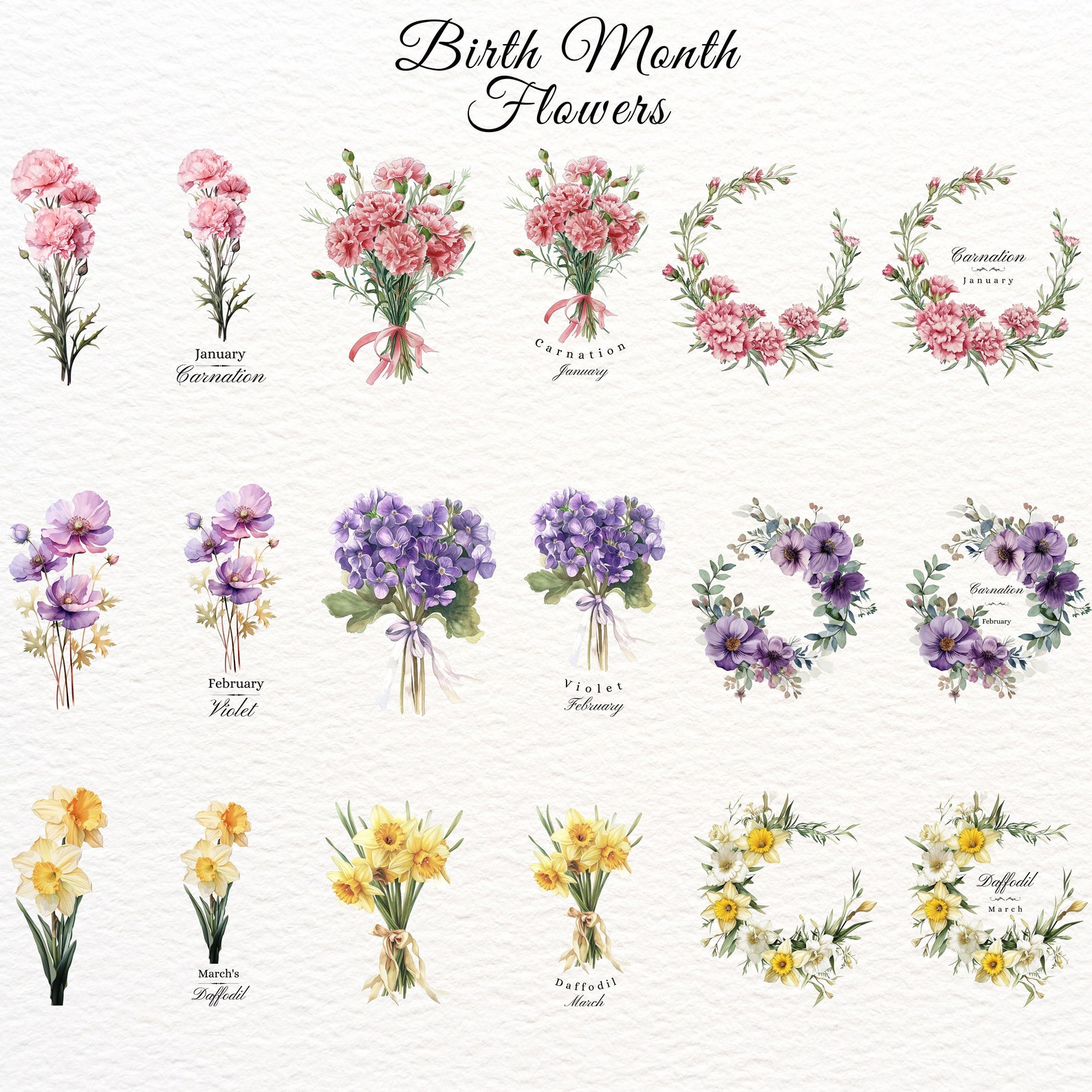 Watercolor Birth Month Flower Clipart,birth Flower Png,watercolor ...