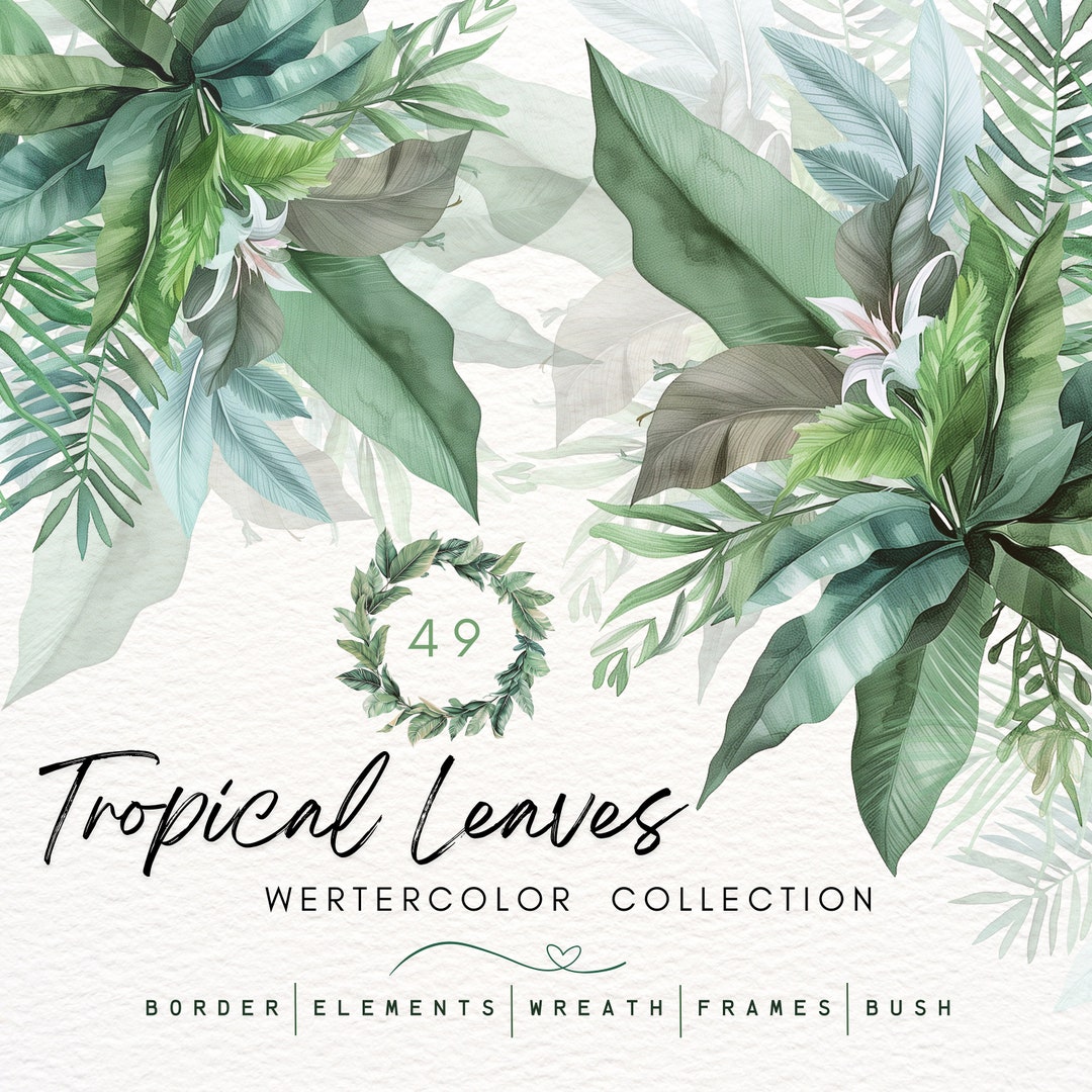 Watercolor Tropical Leaf Clipart,exotic Botanical Digital Art,monstera ...