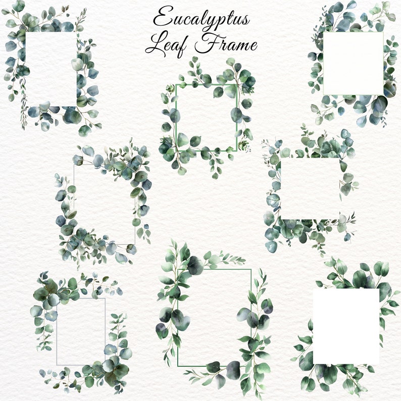 Watercolor Eucalyptus Leaf Clipart,greenery Clipart,green Leaves ...