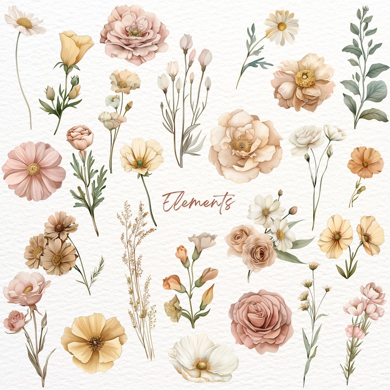 Neutral Watercolor Flowers Clipart,bohemian Flowers,terracotta Boho ...