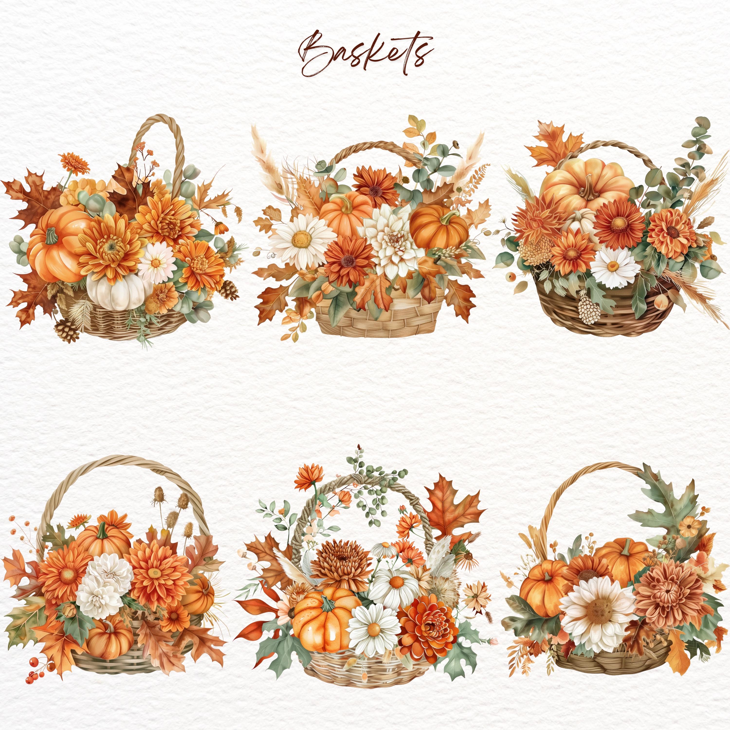 Pumpkins and Flowers,autumn Florals Clipart,pumpkin Clipart,fall Floral ...