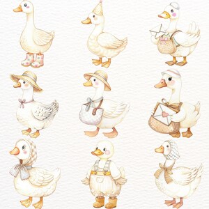 Silly Goose Clipart,spring Vintage Cottagecore,watercolor Goose Png ...