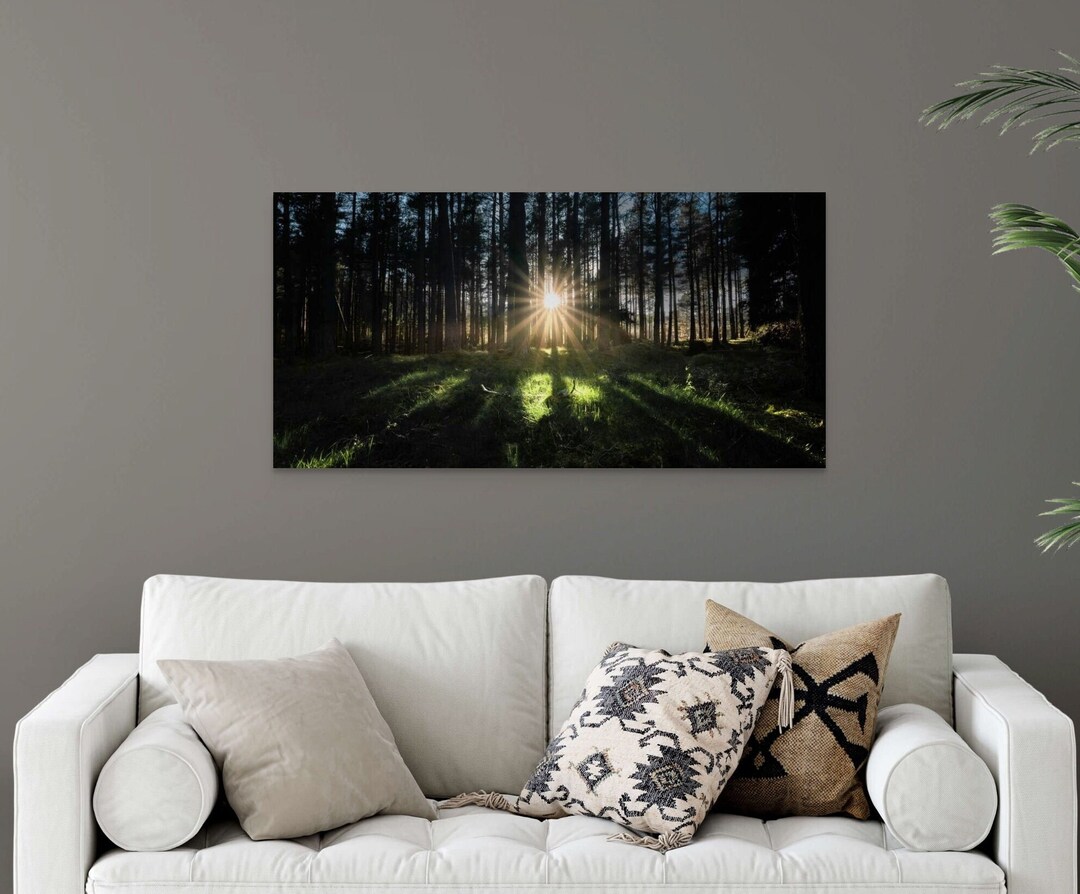 Scotland Forest Landscape Photography Print, Large Canvas Wall Art ...