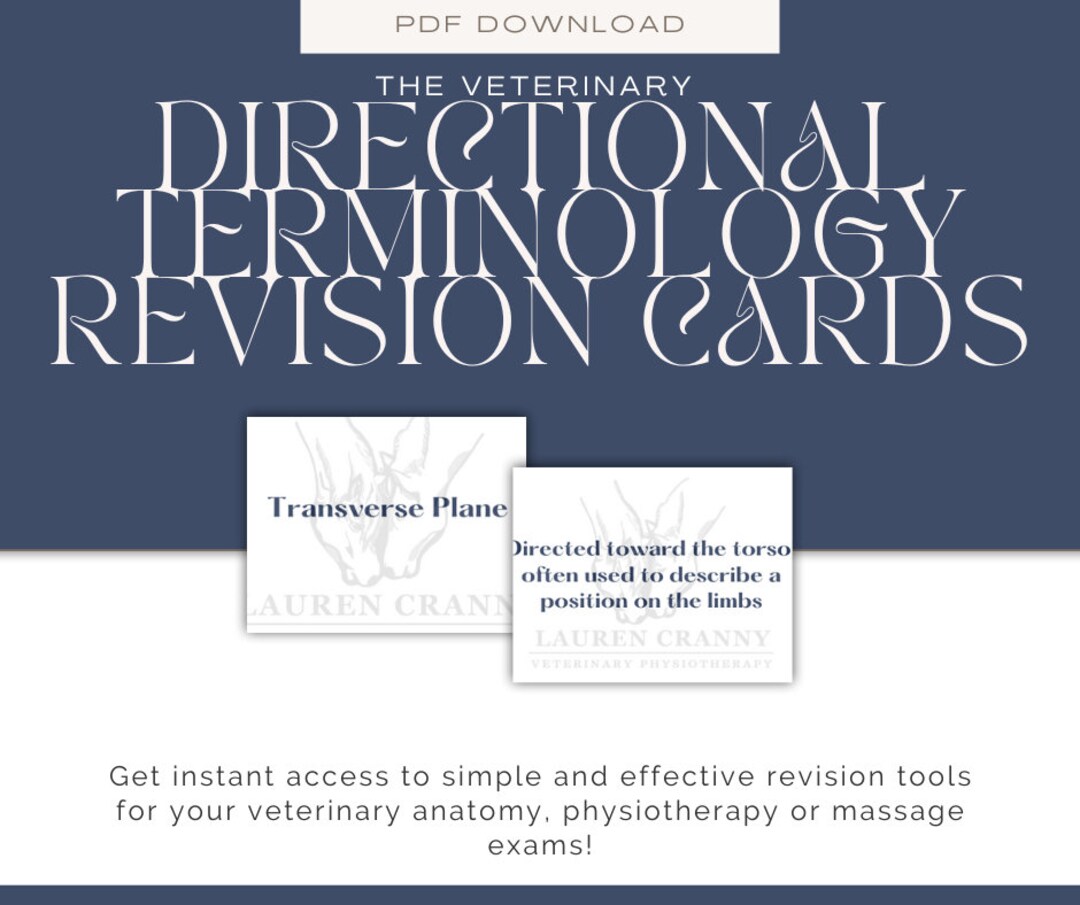 Veterinary Terminology Revision Cards Directional Terminology - Etsy