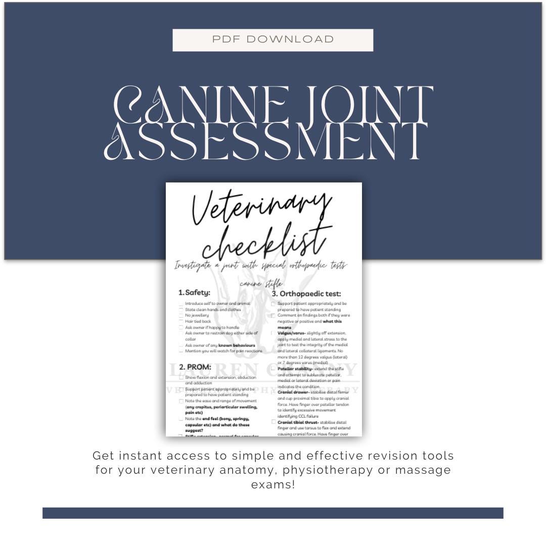 Veterinary Physiotherapy Revision Cheatsheet for Canines- Assessing ...