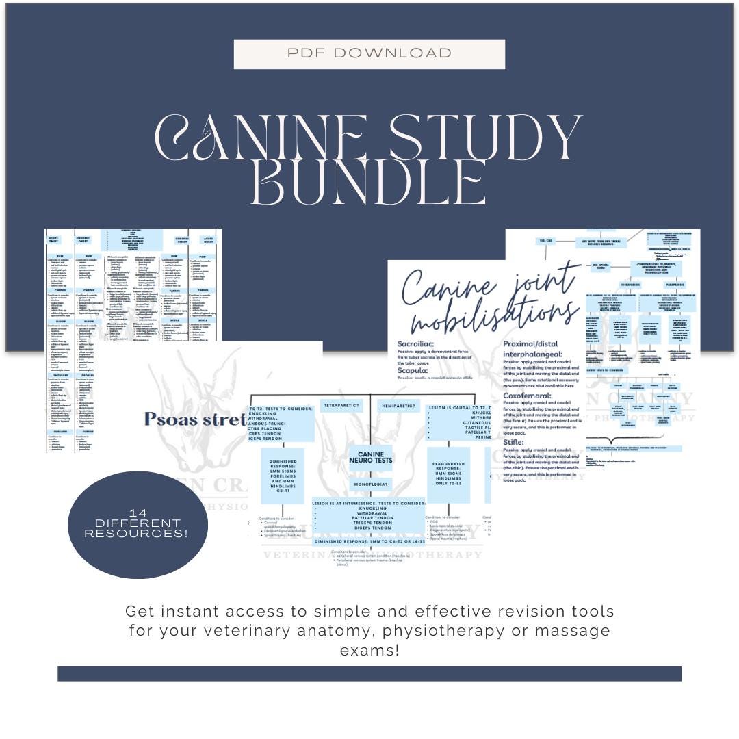The Ultimate Canine Study Bundle - Etsy