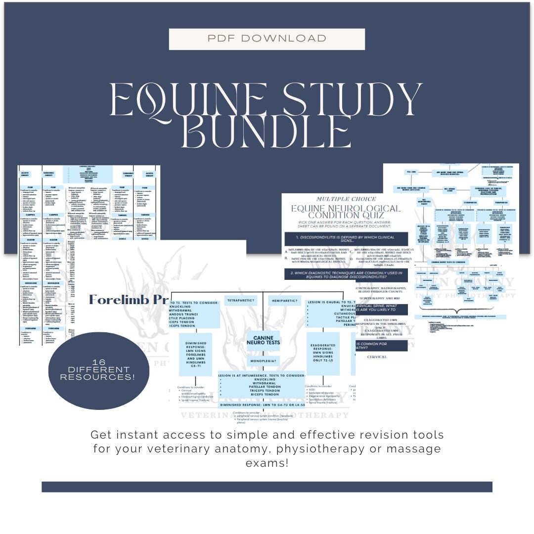 The Ultimate Equine Study Bundle - Etsy