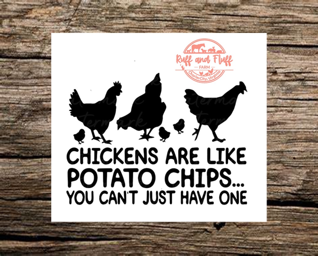 Chickens Are Like Potato Chips | You Can't Have Just One | Chicken ...