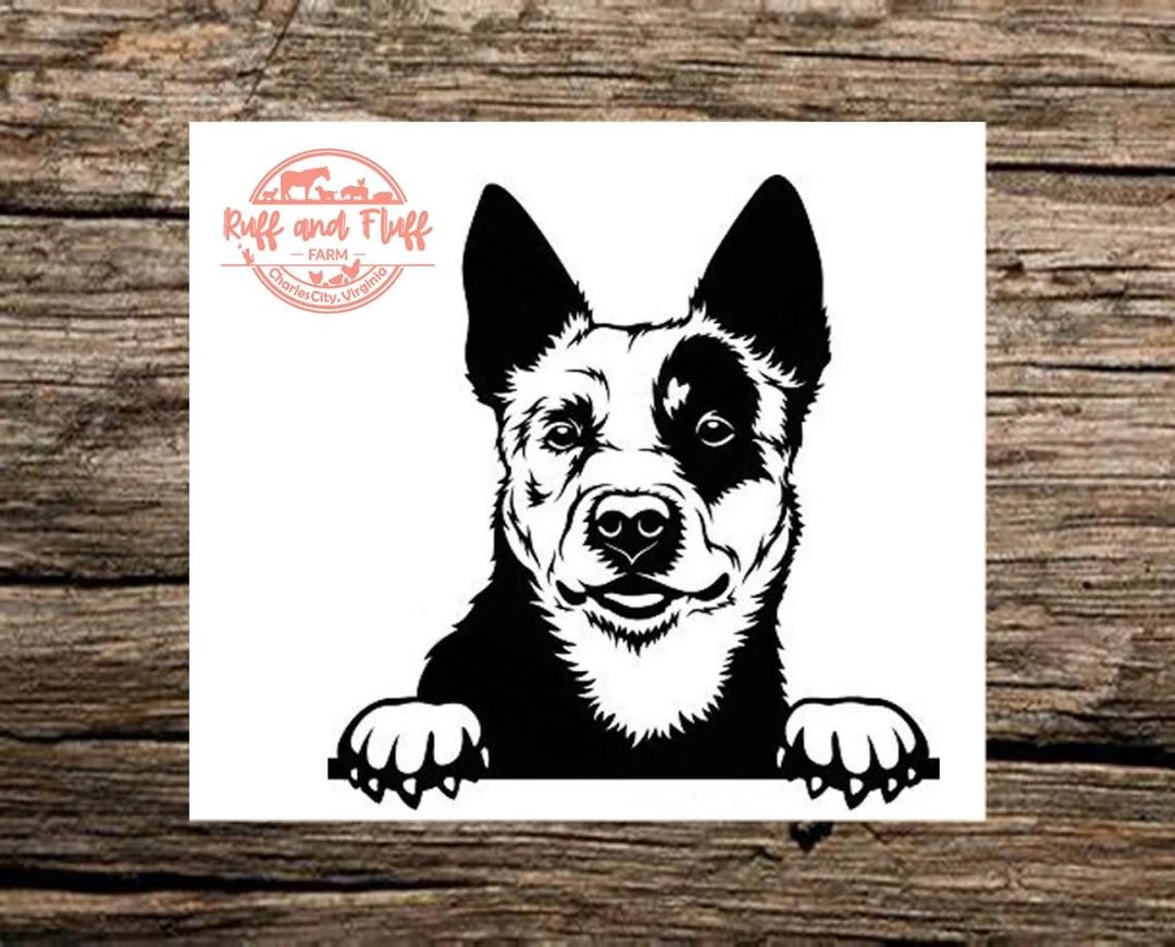 Australian Cattle Dog Decal | Blue Heeler | Red Heeler | Peeking Dog ...