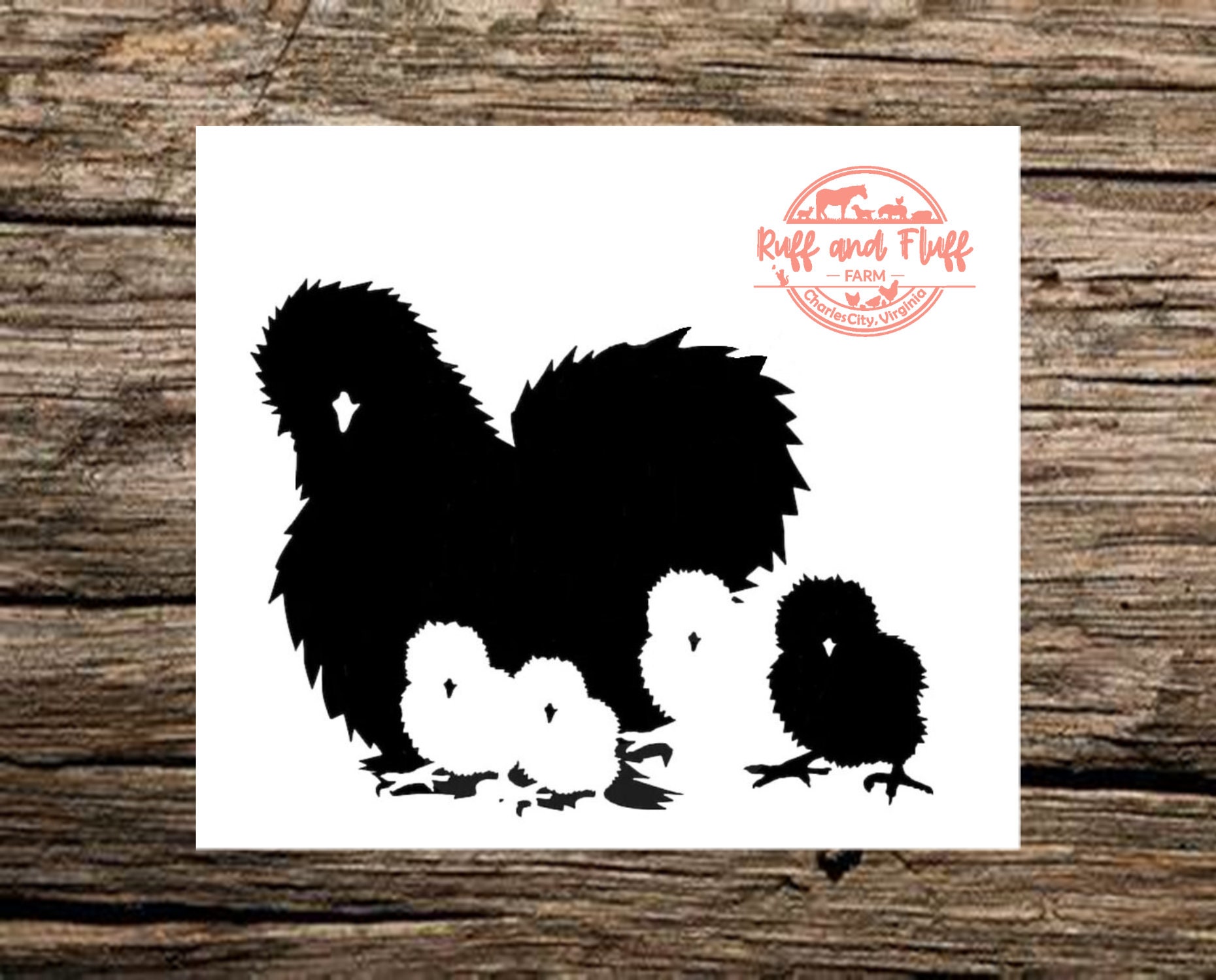 Silkie Chicken Decal | Hen Decal | Four Silkie Chicks Decal | Car Decal ...