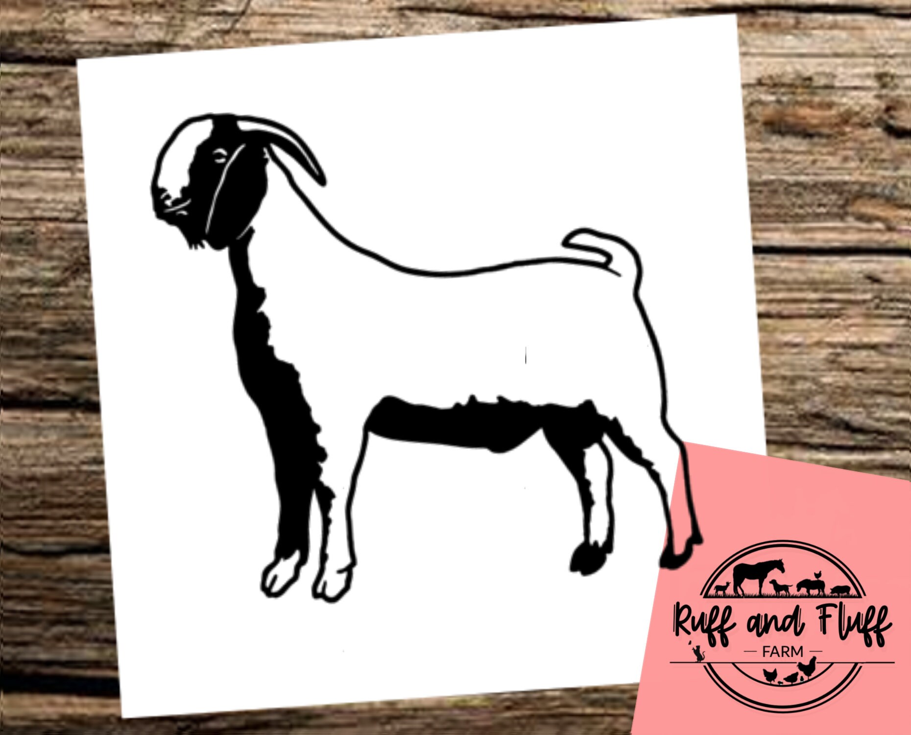 Goat Decal Show Goat Decal - Etsy