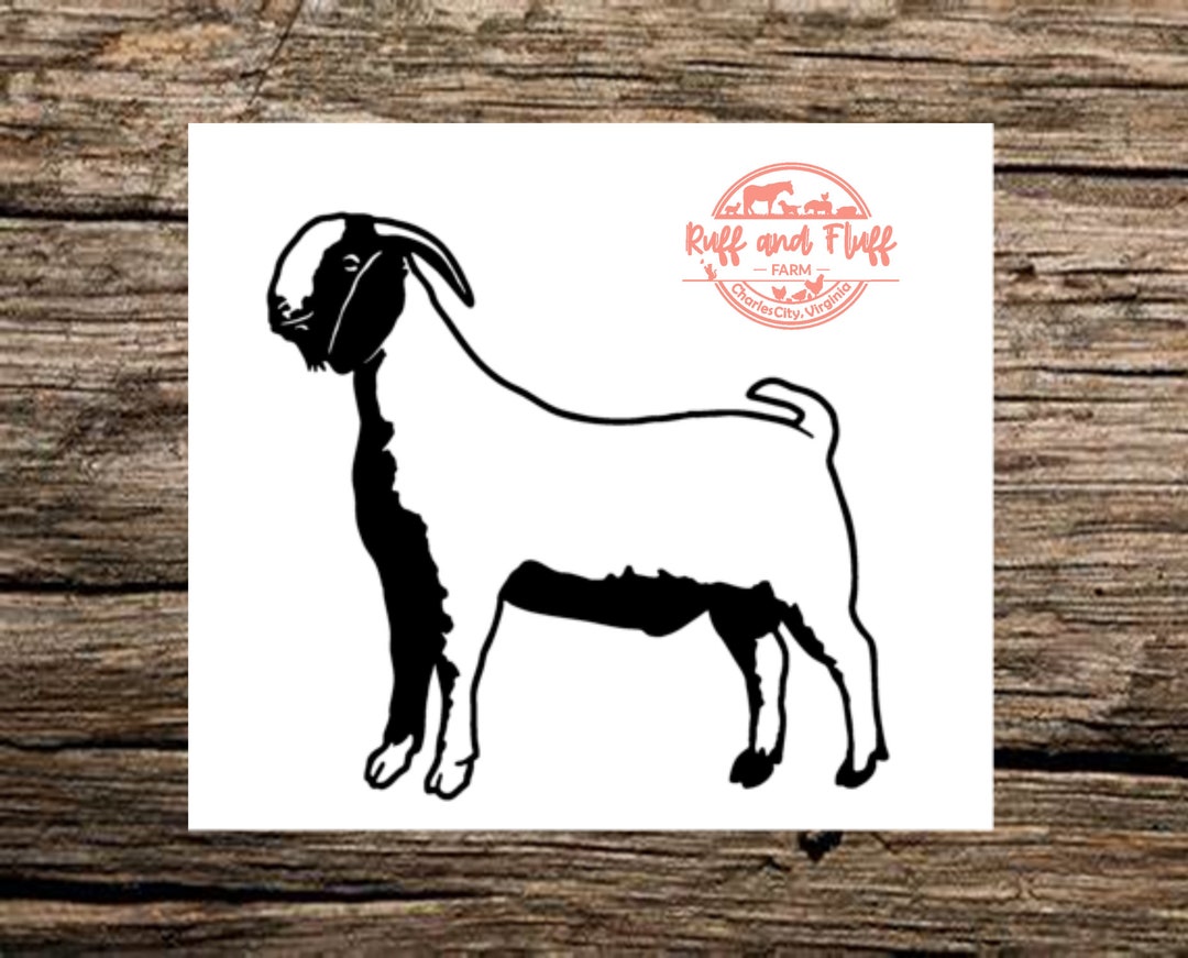 Goat Decal | Show Goat Decal - Etsy