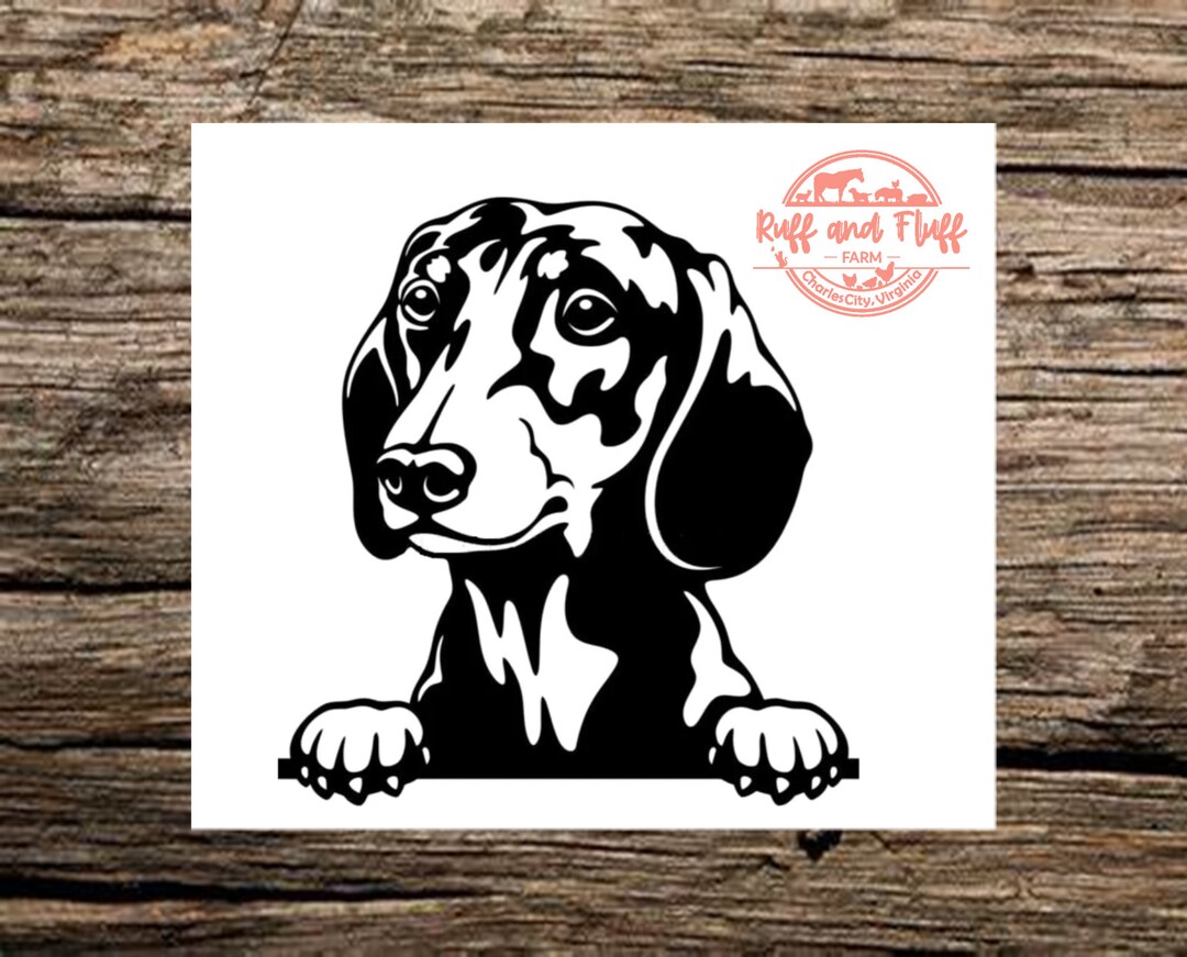 Dachshund Decal | Weiner Dog Decal | Peeking Dog Decal | Pet Decal ...