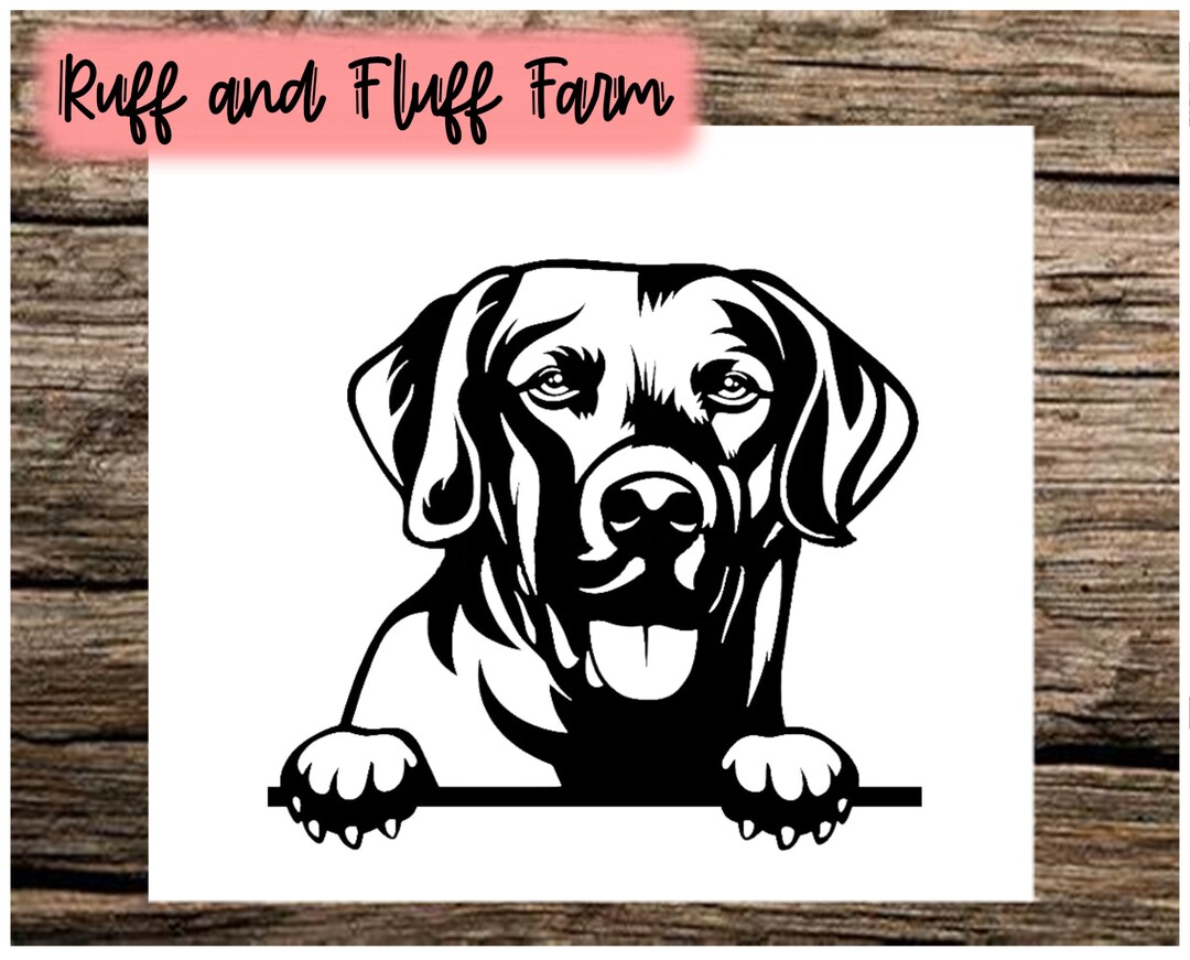 Labrador Retriever Decal | Lab Decal | Peeking Dog Decal | Pet Decal ...