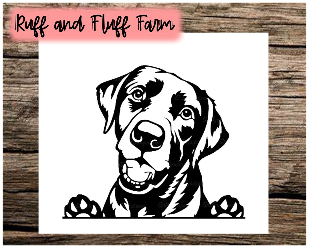 Labrador Retriever Decal | Lab Decal | Peeking Dog Decal | Pet Decal ...