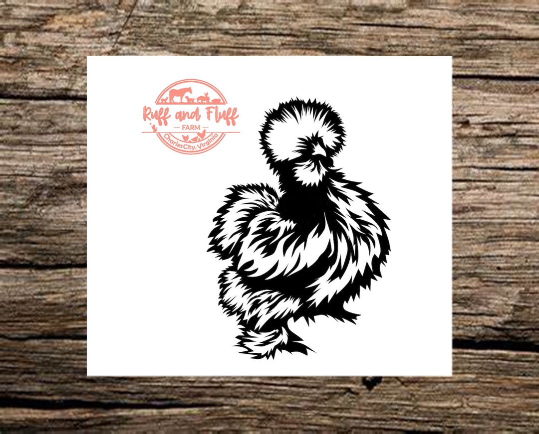 Silkie Chicken Decal | Hen Decal | Rooster Decal | Car Decal - Etsy