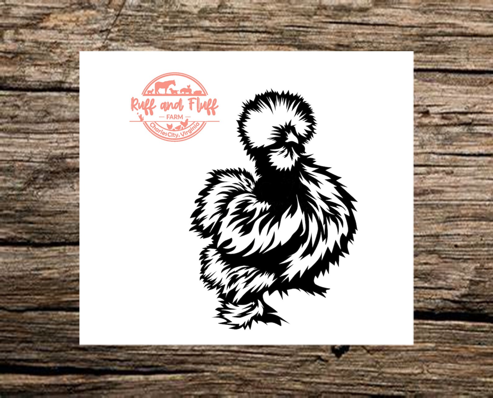 Silkie Chicken Decal | Hen Decal | Rooster Decal | Car Decal - Etsy