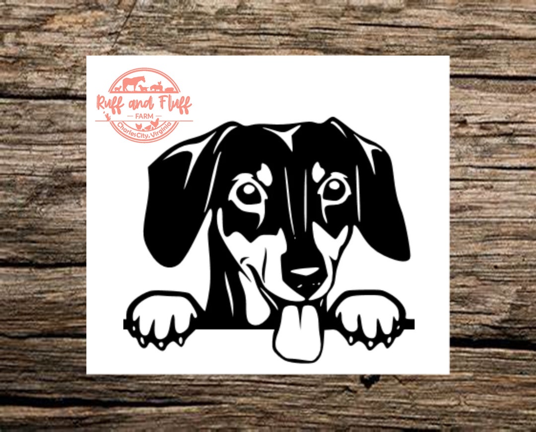 Dachshund Decal | Weiner Dog Decal | Peeking Dog Decal | Pet Decal ...