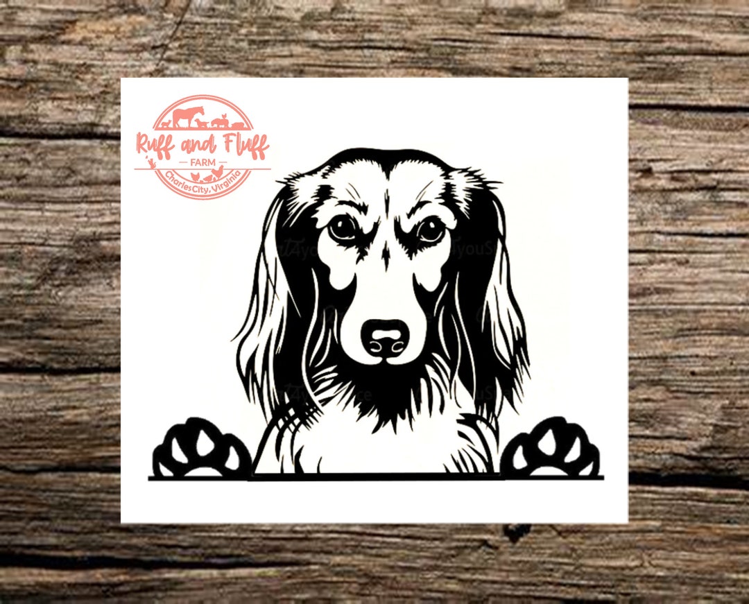Dachshund Decal | Longhaired Dachshund | Weiner Dog Decal | Peeking Dog ...