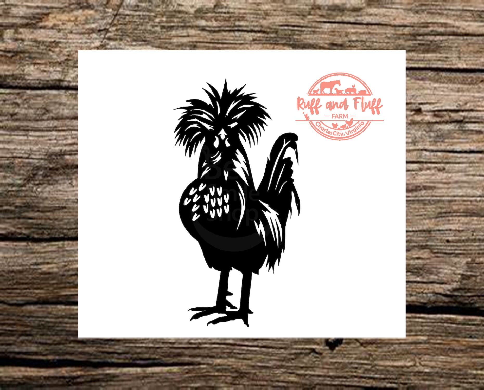 Polish Chicken | Top Hat Chicken | Hen Decal | Rooster Decal | Car ...