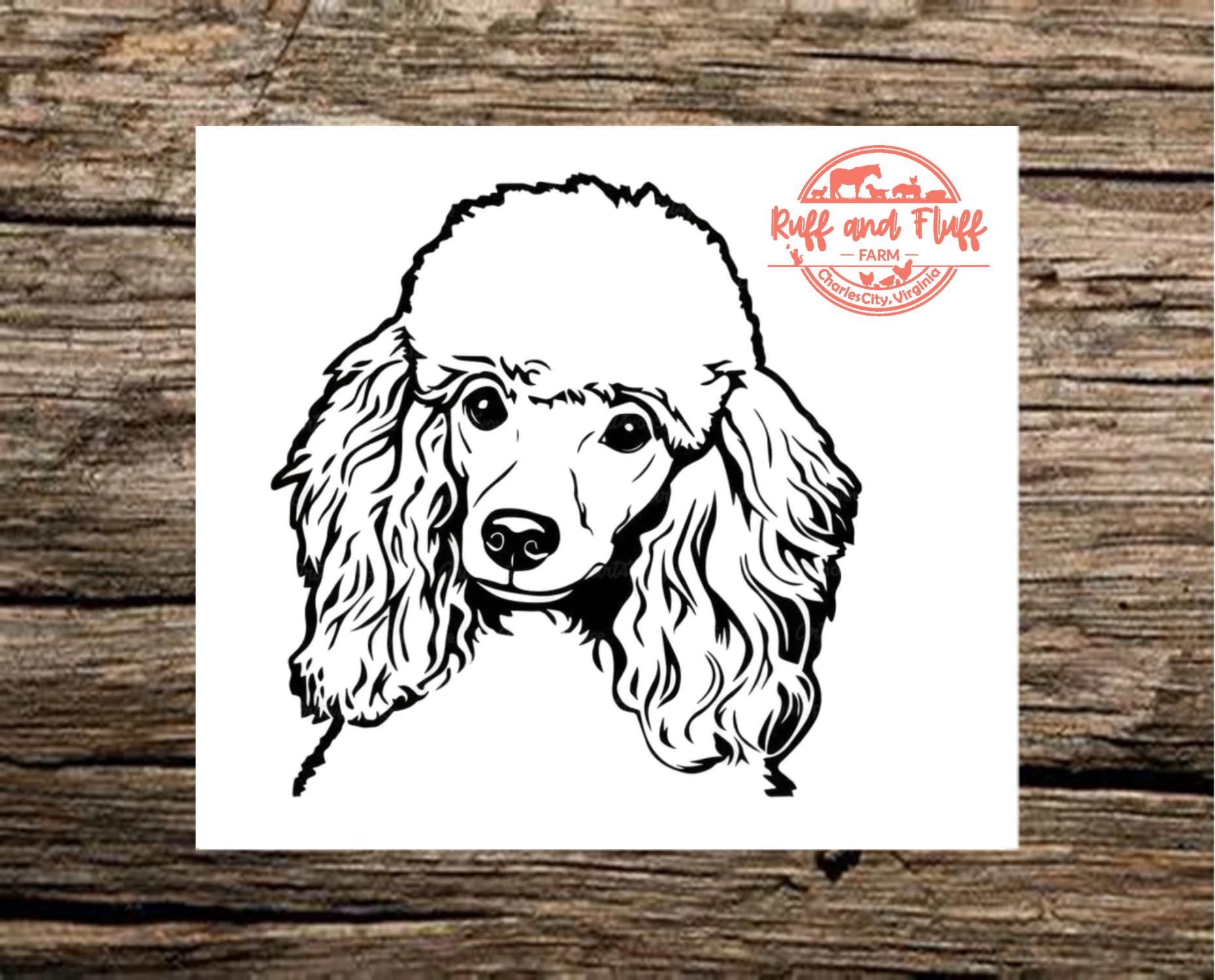 Poodle Decal | Peeking Dog Decal | Pet Decal | Car Decal - Etsy