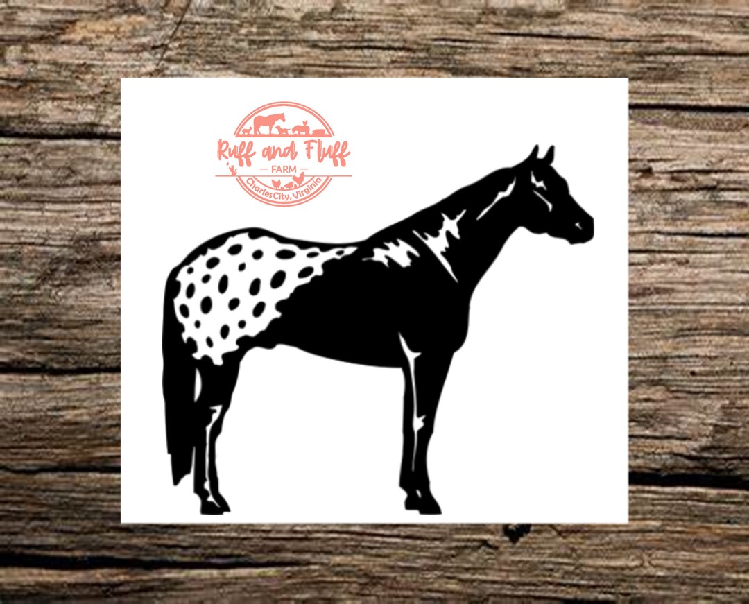 Appaloosa Horse Decal | Appi Decal | Horse Decal - Etsy