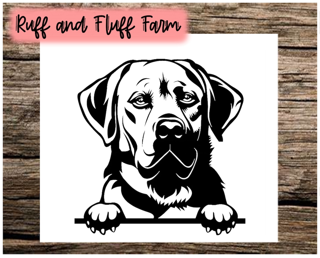 Labrador Retriever Decal | Lab Decal | Peeking Dog Decal | Pet Decal ...