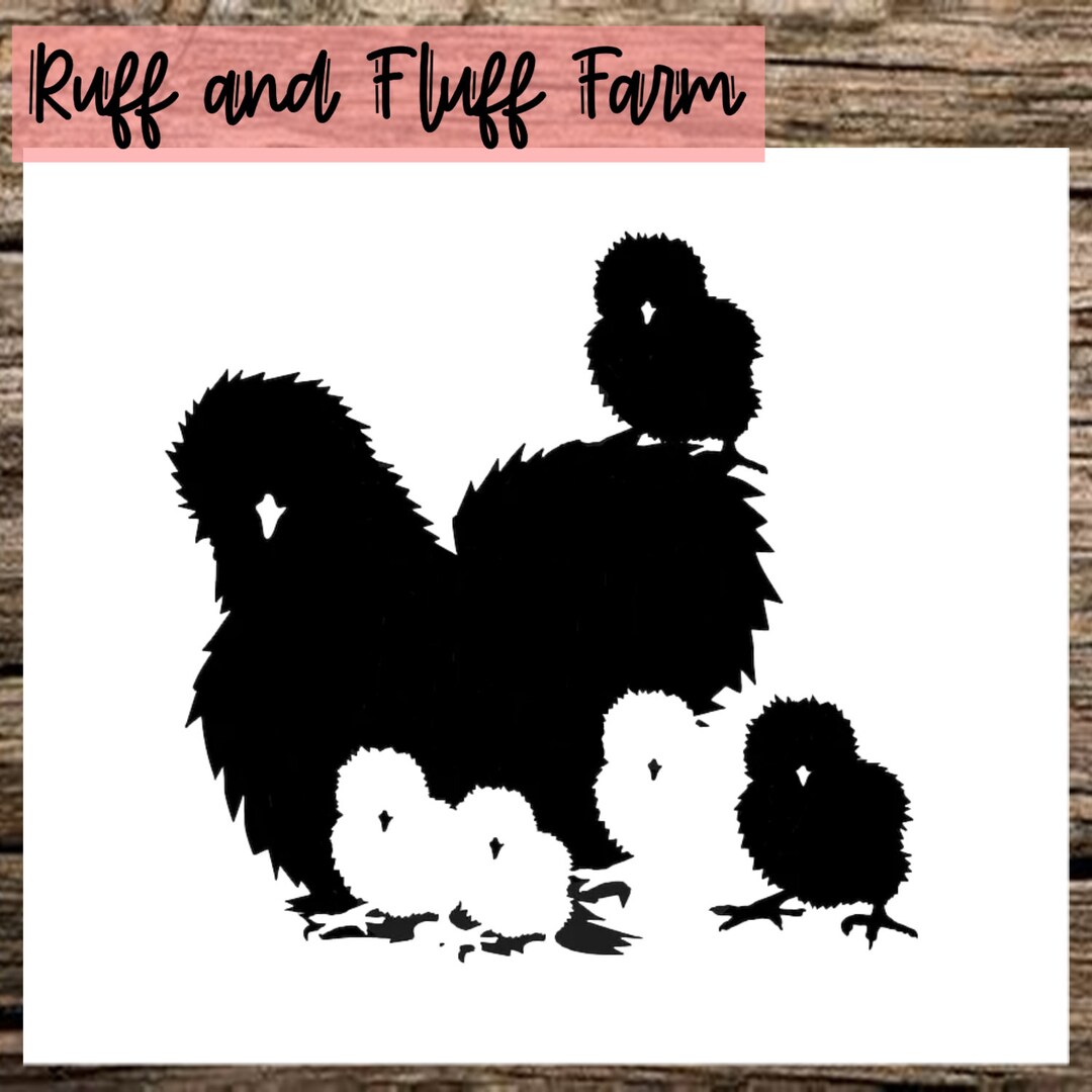 Silkie Chicken Decal Hen Decal Five Silkie Chicks Decal Car Decal - Etsy