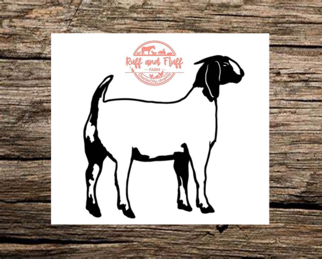 Goat Decal | Show Goat Decal - Etsy