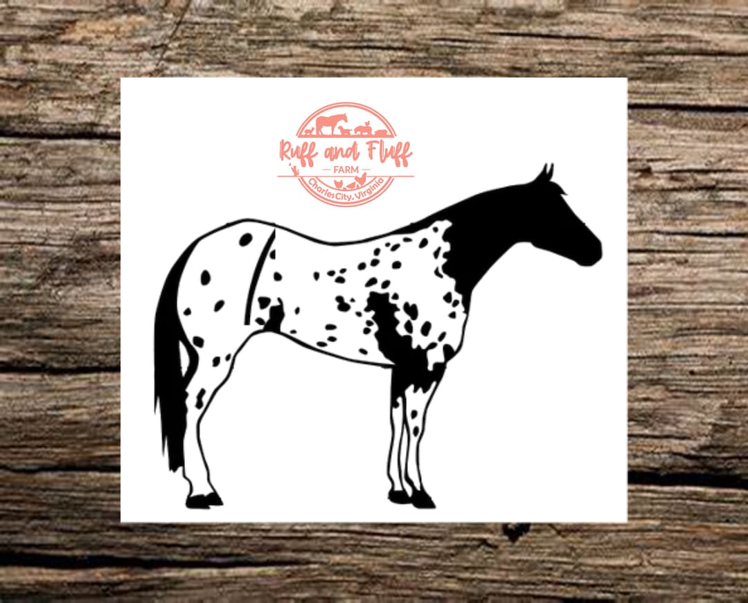 Appaloosa Horse Decal | Leopard Appaloosa | Appi Decal | Horse Decal - Etsy