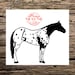 Appaloosa Horse Decal | Leopard Appaloosa | Appi Decal | Horse Decal - Etsy