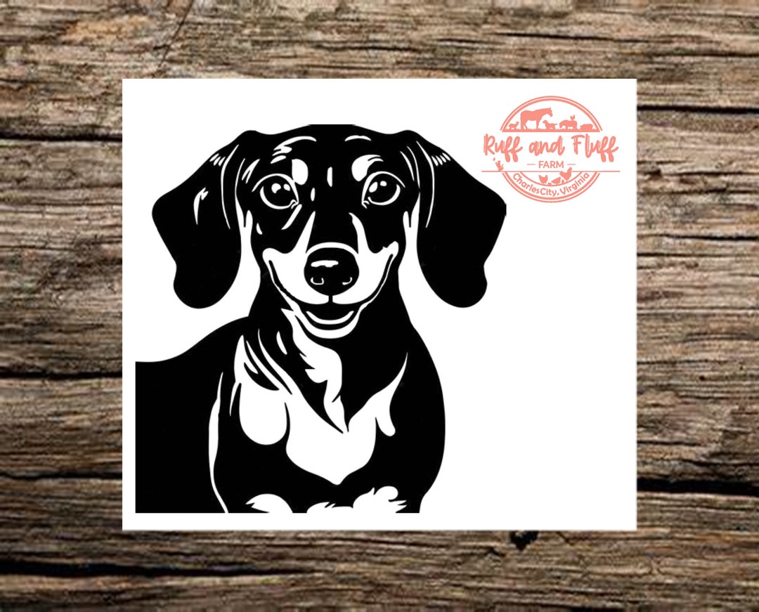 Dachshund Decal | Weiner Dog Decal | Peeking Dog Decal | Pet Decal ...